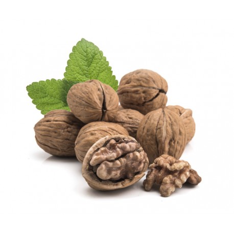 nuez cascara nacional terreno